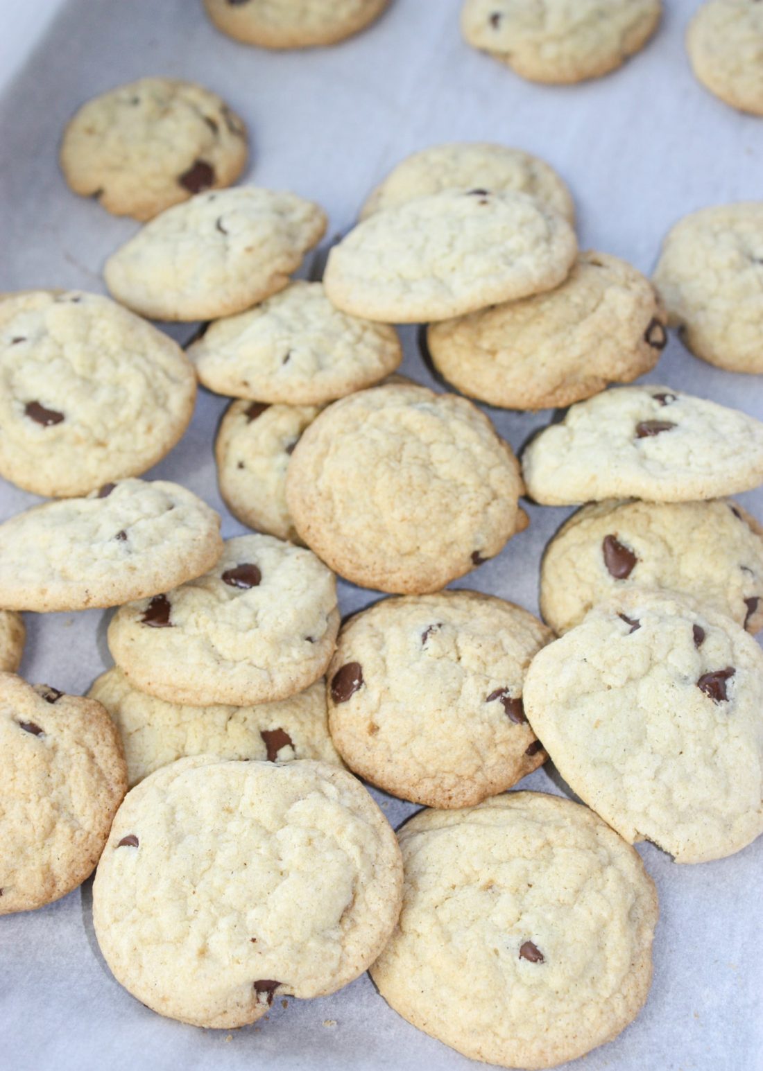 Crunchy Chocolate Chip Cookies - Gluten Free - Kiss Gluten Goodbye